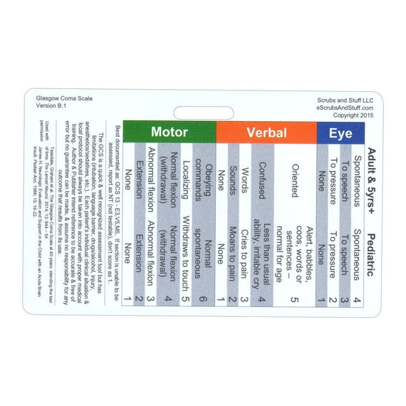 Glasgow Coma Scale Badge Card Horizontal Accessory for Nurse