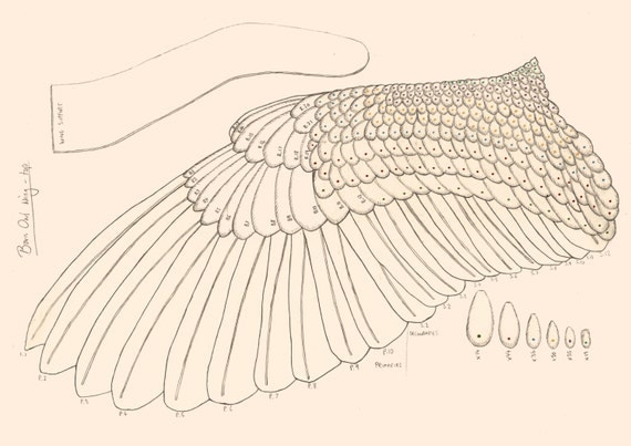 Barn owl wing designs digital art print. by ZackMclaughlin on Etsy