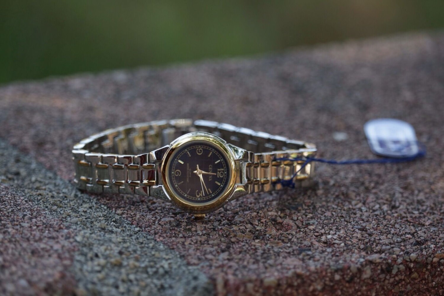 Women’s Vintage Geneva watch – Haute Juice