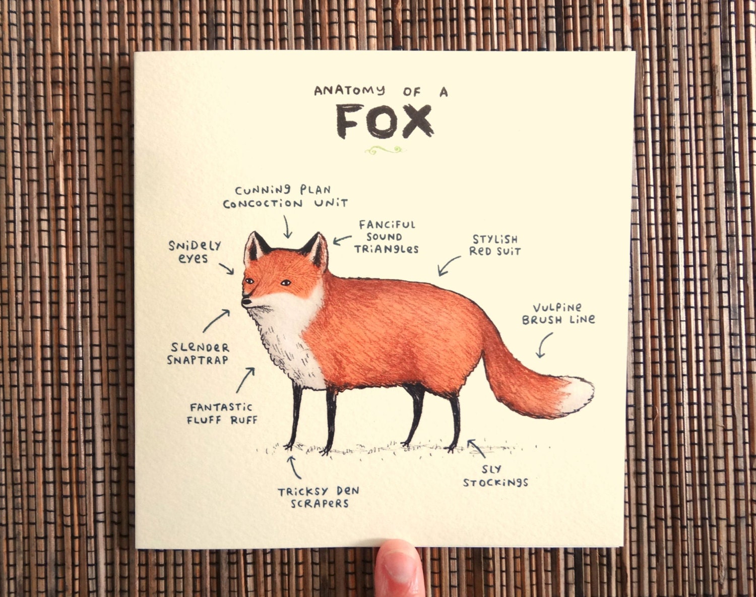 Anatomy Of A Fox Card