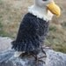 Young eagleknitting and crochet pattern