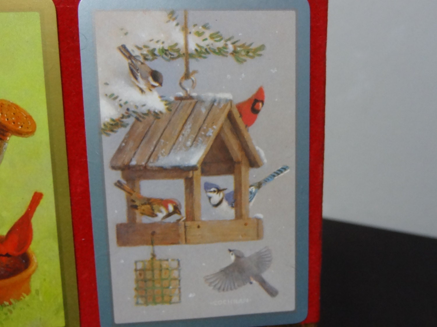 Vintage Congress Playing Cards with Bird Prints 2 Decks in