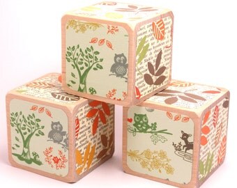 Wood Blocks Baby Boy Nursery Shabby Chic Twinkle Twinkle
