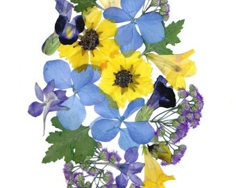 Yellow jessamine | Etsy