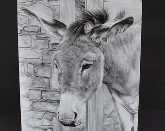 Blank Card Two Donkeys Pencil Drawing