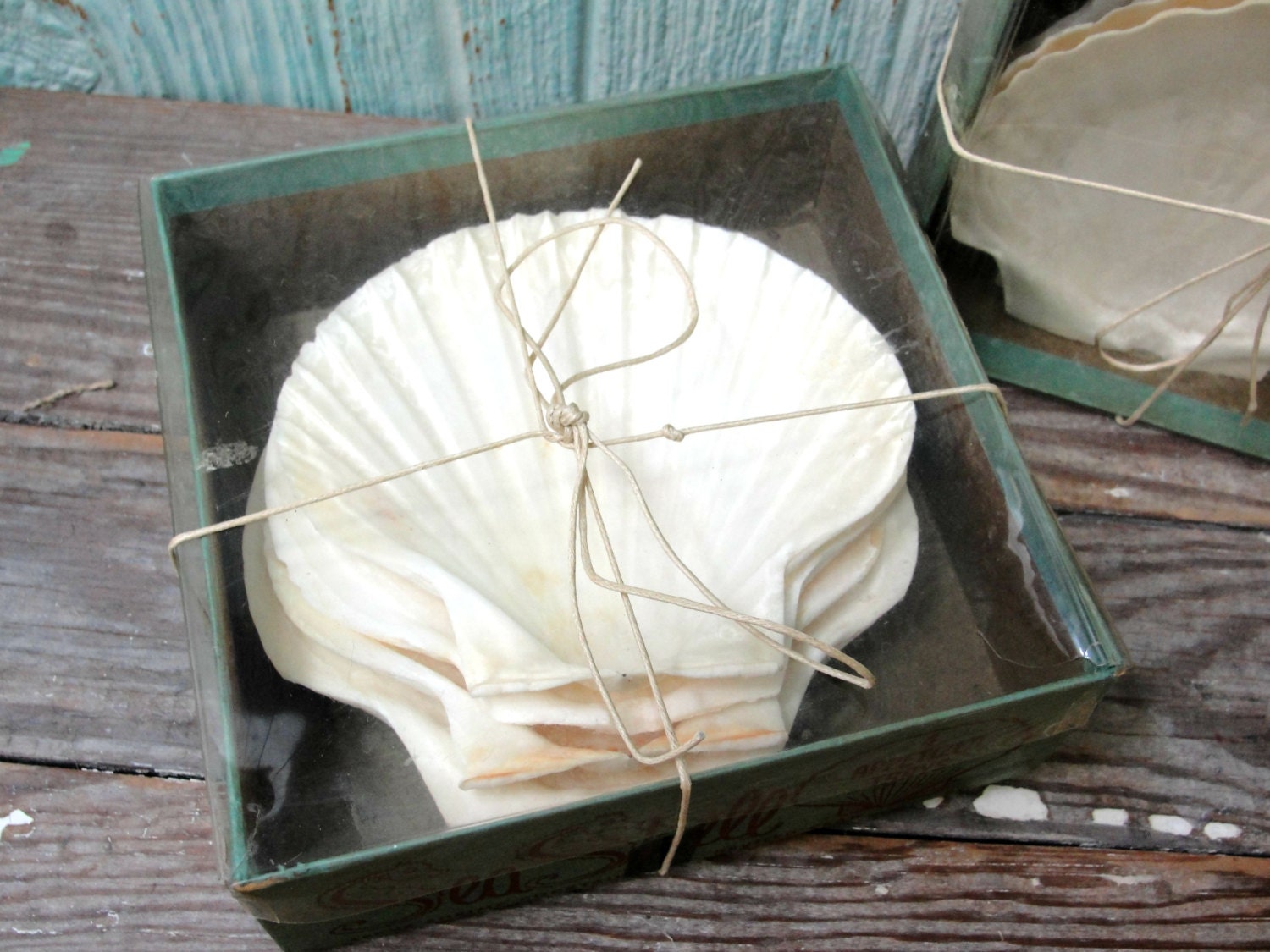 Mid Century Vintage Seashell Clam Shell Hors D’Oeuvres Seafood ...