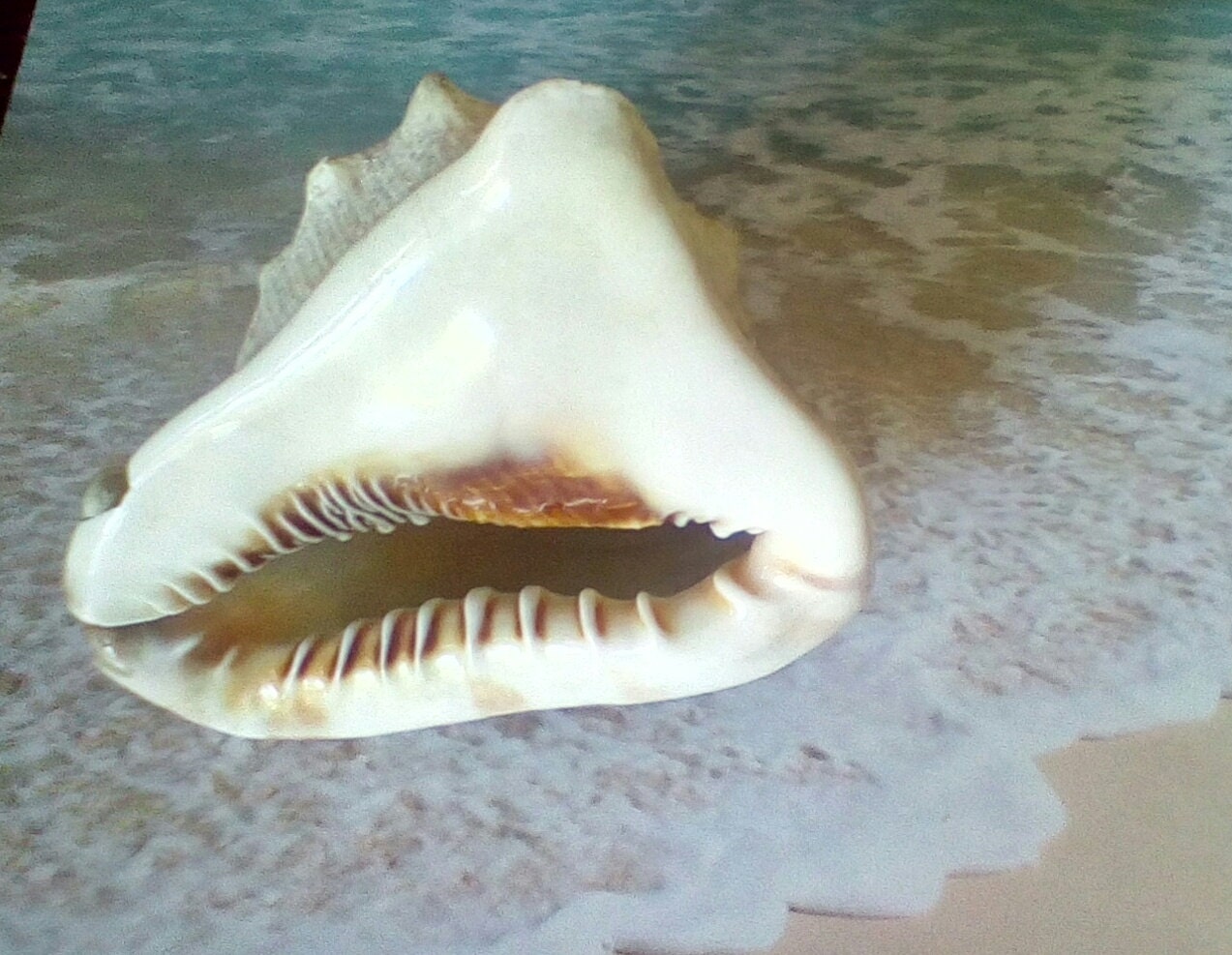 Chandeliers & Pendant Lights