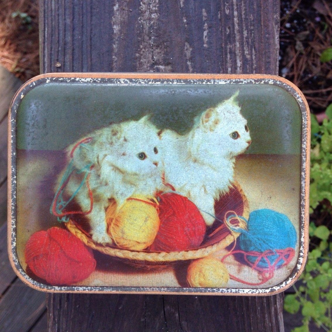 Vintage Cat or Kitten Candy Toffee Tin Made in England, Cats, Kittens ...