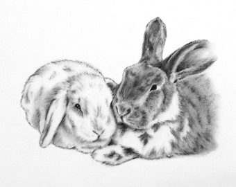 Bunny Art ORIGINAL 5x7 Lop Eared Bunny Charcoal by JaclynsStudio