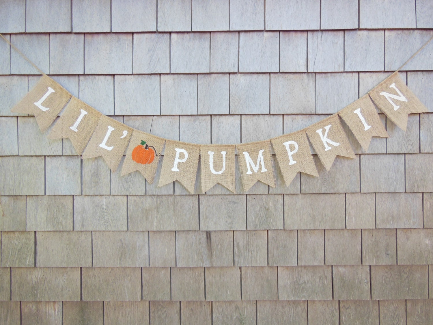 Little Pumpkin Banner Little Pumpkin Baby Shower Decor