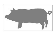 Popular items for pig stencil on Etsy