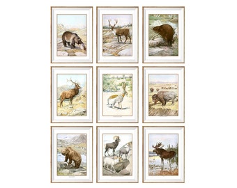 Wild animal prints | Etsy