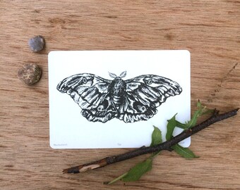 Moth print | Etsy