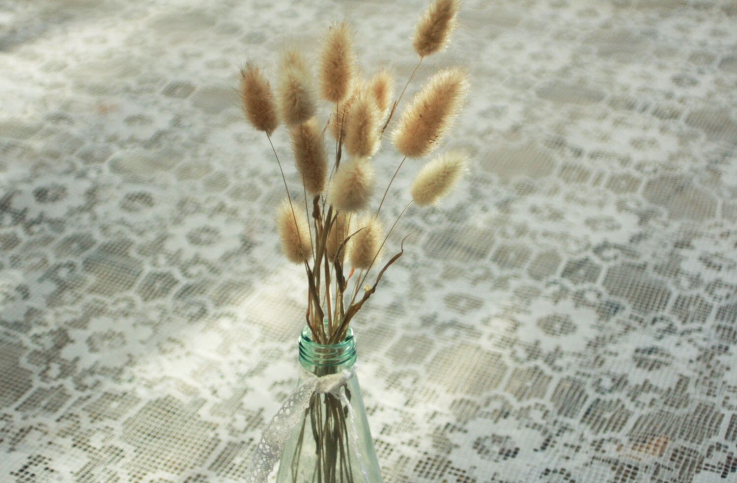 Bouquet of dried Bunny Tiles Dried Flower Bouquet Natural