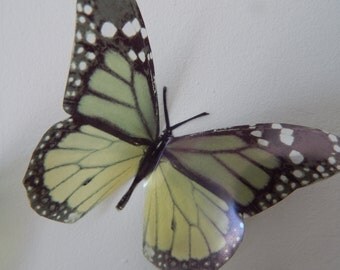 Flutterframes on Etsy