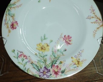 Springfield china | Etsy