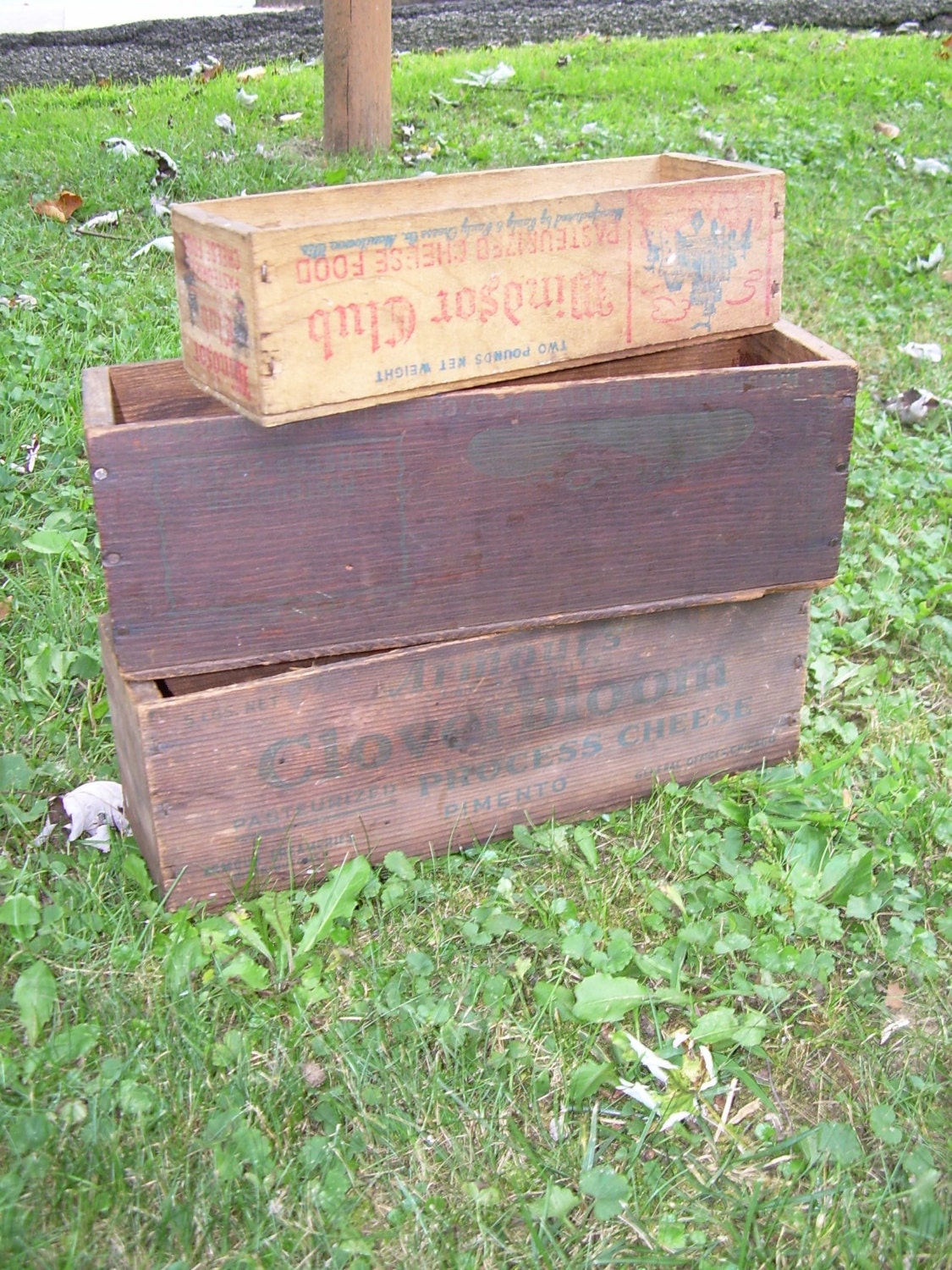 Collection of Wooden Cheese Boxes – Primitive – Haute Juice