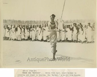 African watusi | Etsy