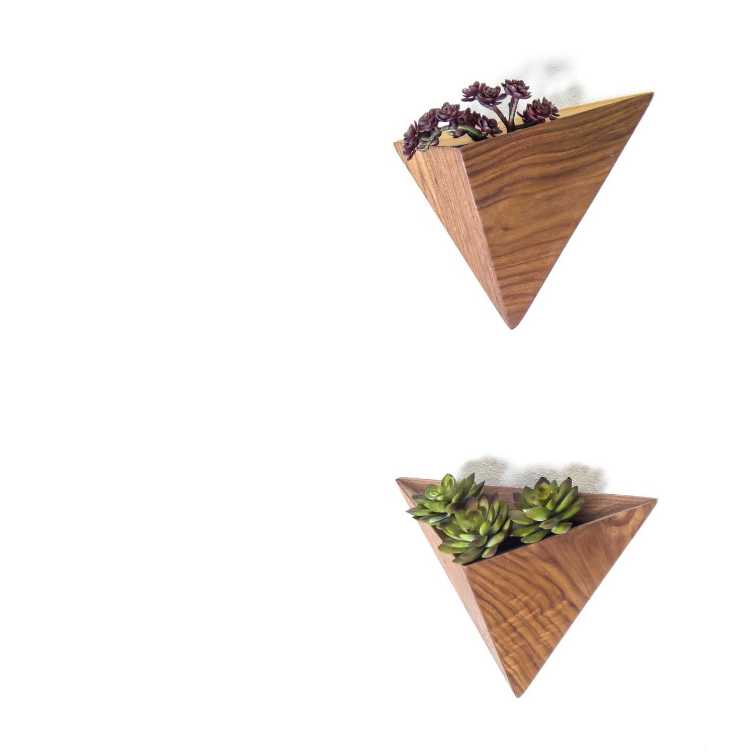 Triangular Air-Plant Planter box Geometric Indoor Planter