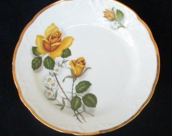 Leuchtenburg china | Etsy