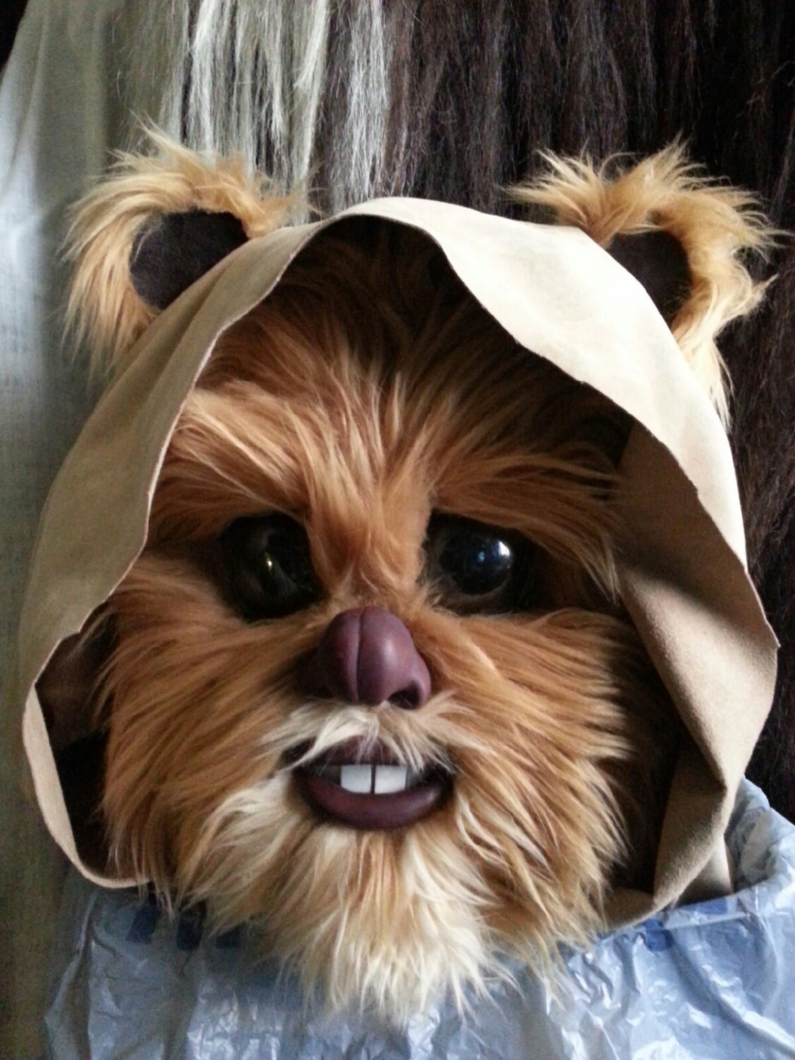 Taras Ewok mask/display prop