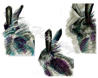 Netherland dwarf | Etsy