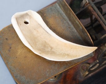 Wild boar teeth | Etsy