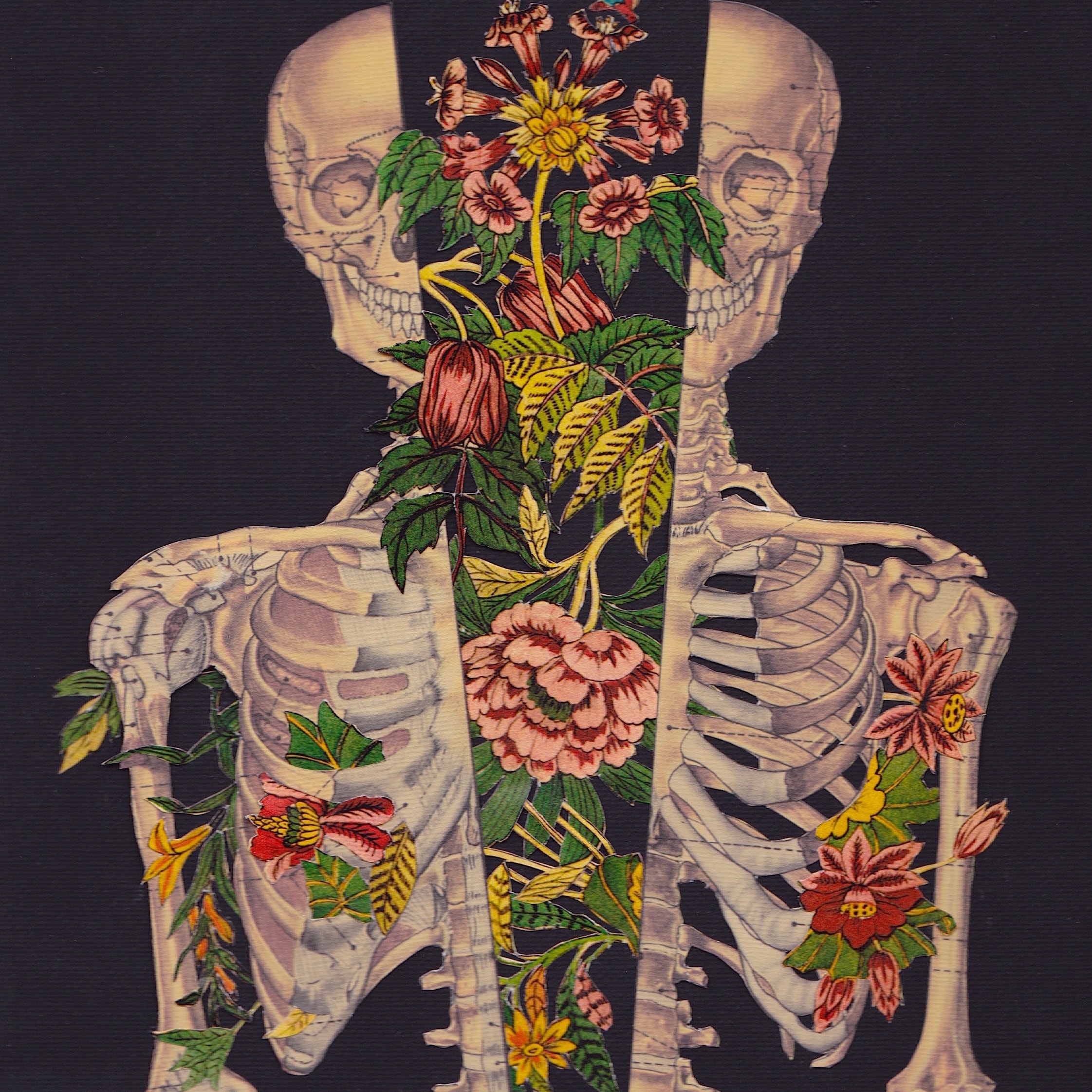 collages & art by Travis Bedel by Bedelgeuse on Etsy