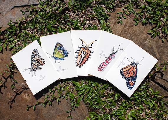 Insect Art Prints - Set of five