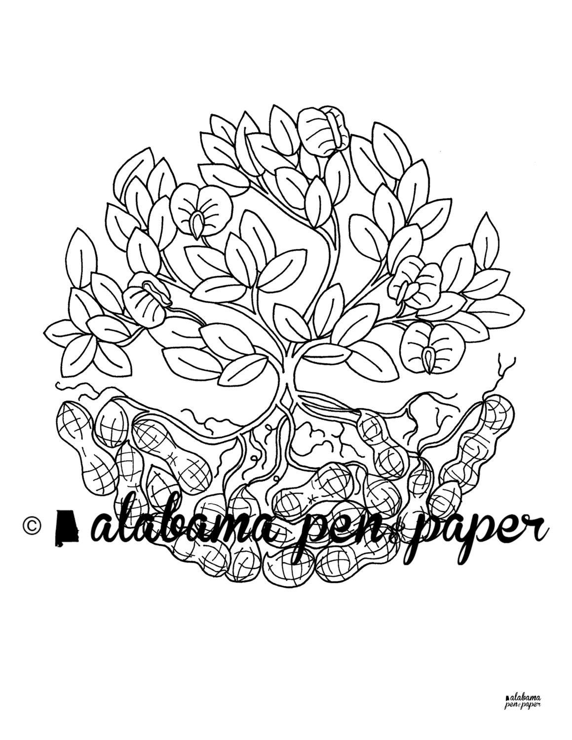 Jeff Dunham Coloring Pages Coloring Pages