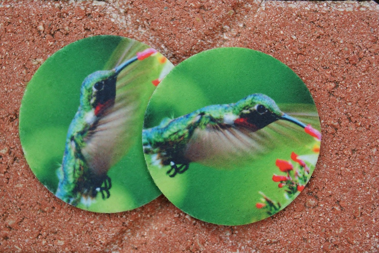 Hummingbird Car Coaster