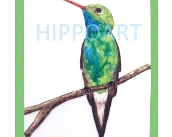 Hummingbird card | Etsy