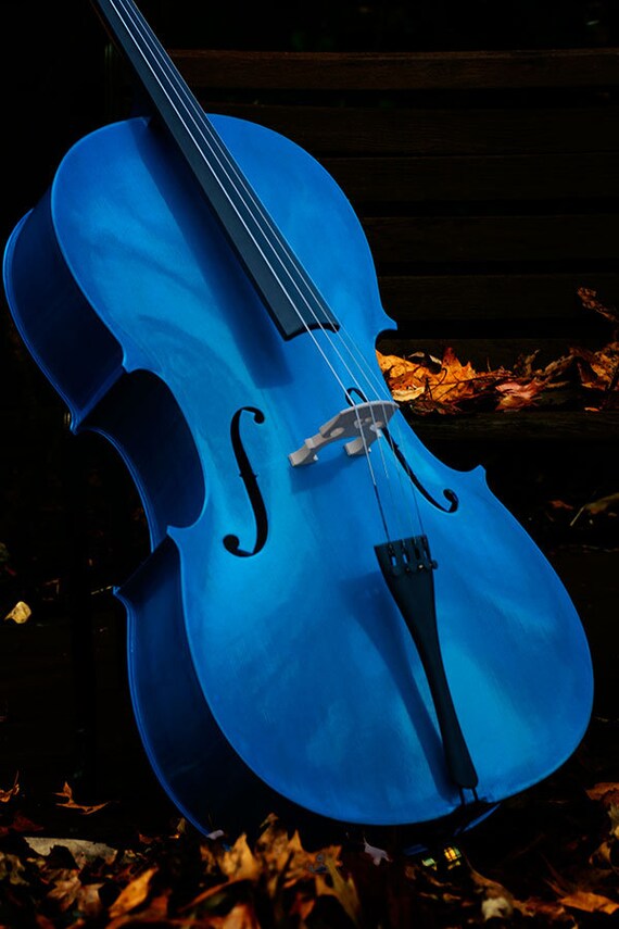 Cello Blue Cello Blue Cello in Autumn Still Life by DreamInEchoes