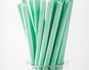 Mint green straws | Etsy