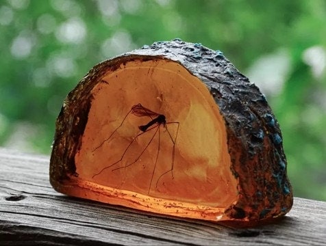 Jurassic World Mosquito in Amber Slice life size Replica