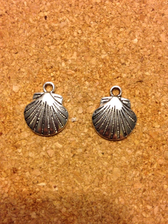 Scallop shell symbol of the Camino pilgrimage to Santiago de