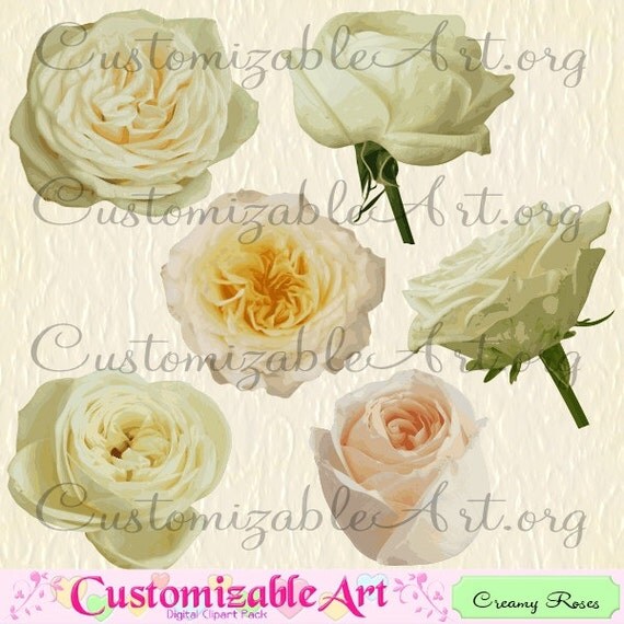 Creamy Rose Clipart Digital White Cream Ivory Light Pink Peach Pale ...