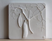 Rachel Dein Botanical Casts in Plaster and Concrete by RachelDein
