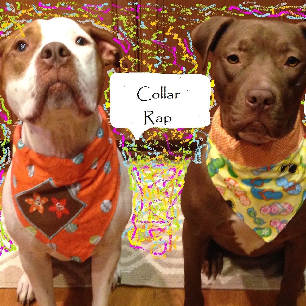 Collar Rap Personalized Pet and Pet Lover Attire by CollarRap