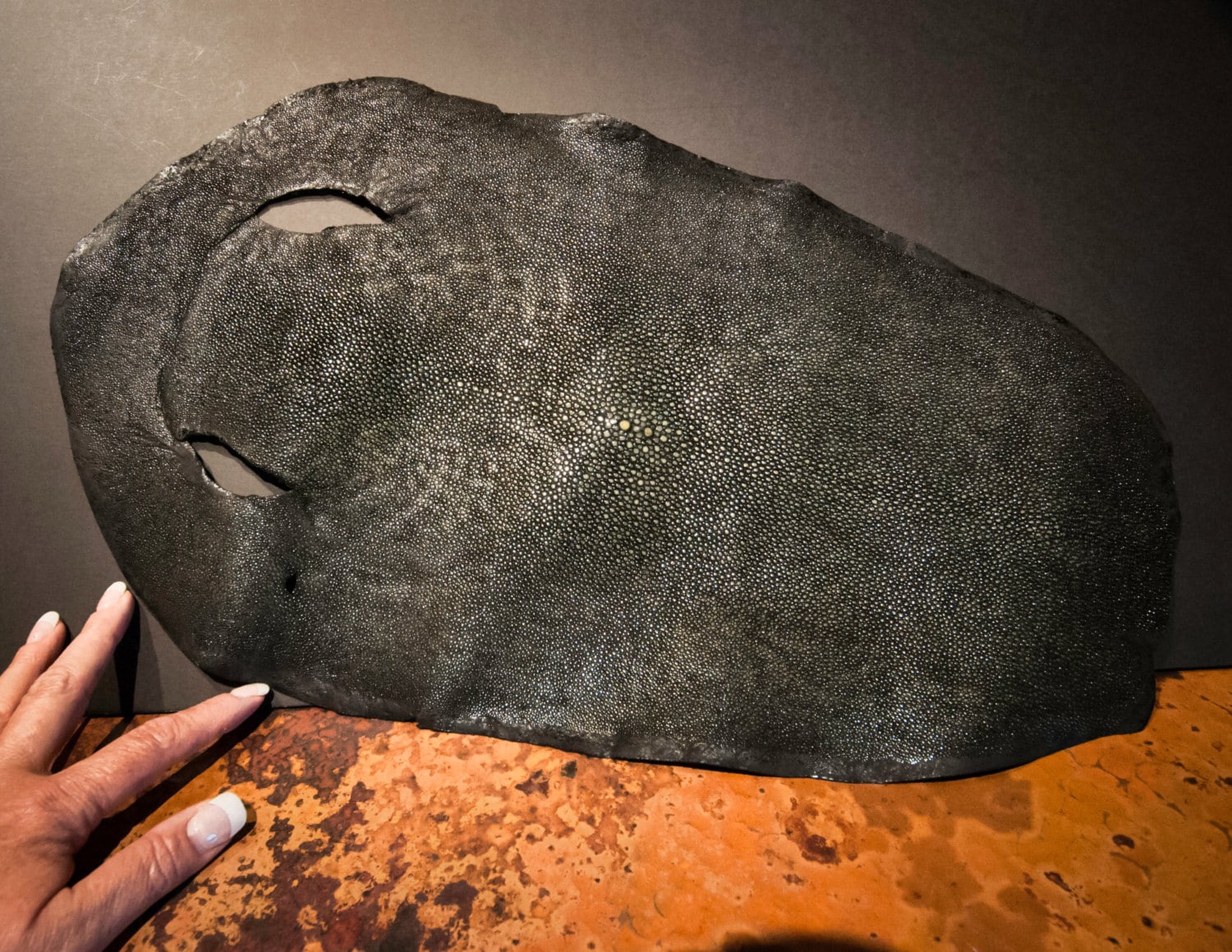 Beautiful Polished Black Shagreen Ray Skin or Hide