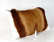 Popular items for springbok hide on Etsy