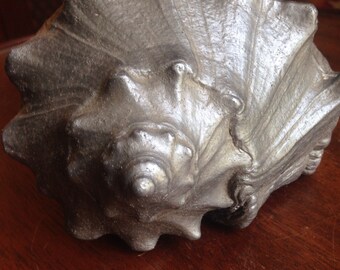 Painted conch shells | Etsy