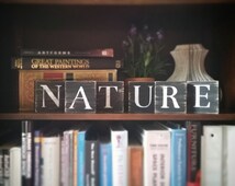 Popular items for nature wall decor on Etsy