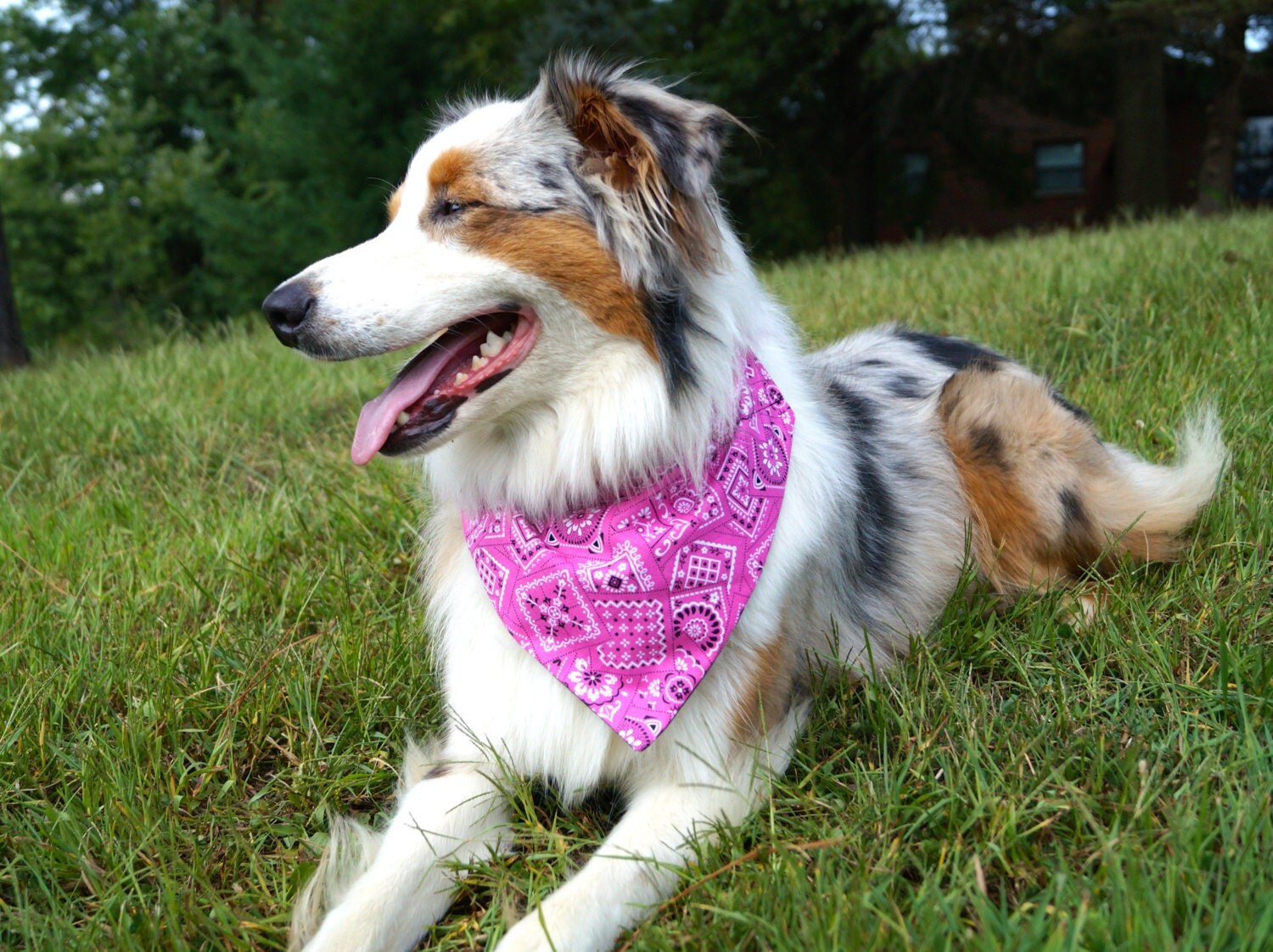 Pink Handkerchief Dog Bandana Pet Bandana by BeausBowsBoutique