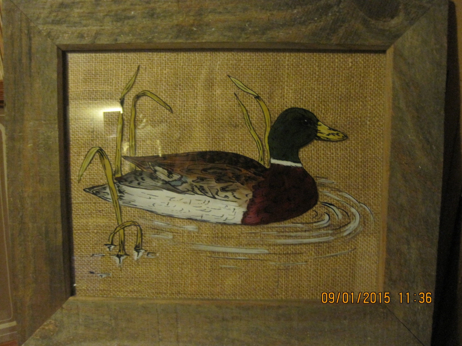 LRG Barn wood picture Frame w/ mallard duck wall hanging cabin