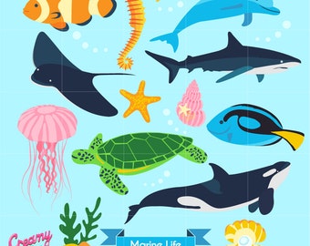 Sea animals clip art | Etsy