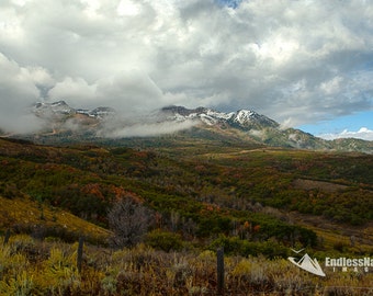 Endless Nature Images .Wildlife and Nature by EndlessNatureImages