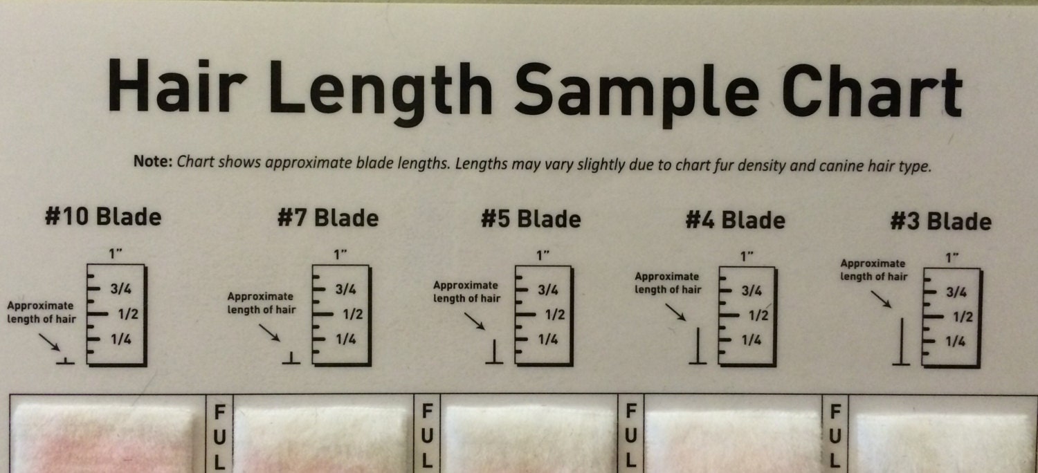 Shave Blade Sample Chart for Grooming