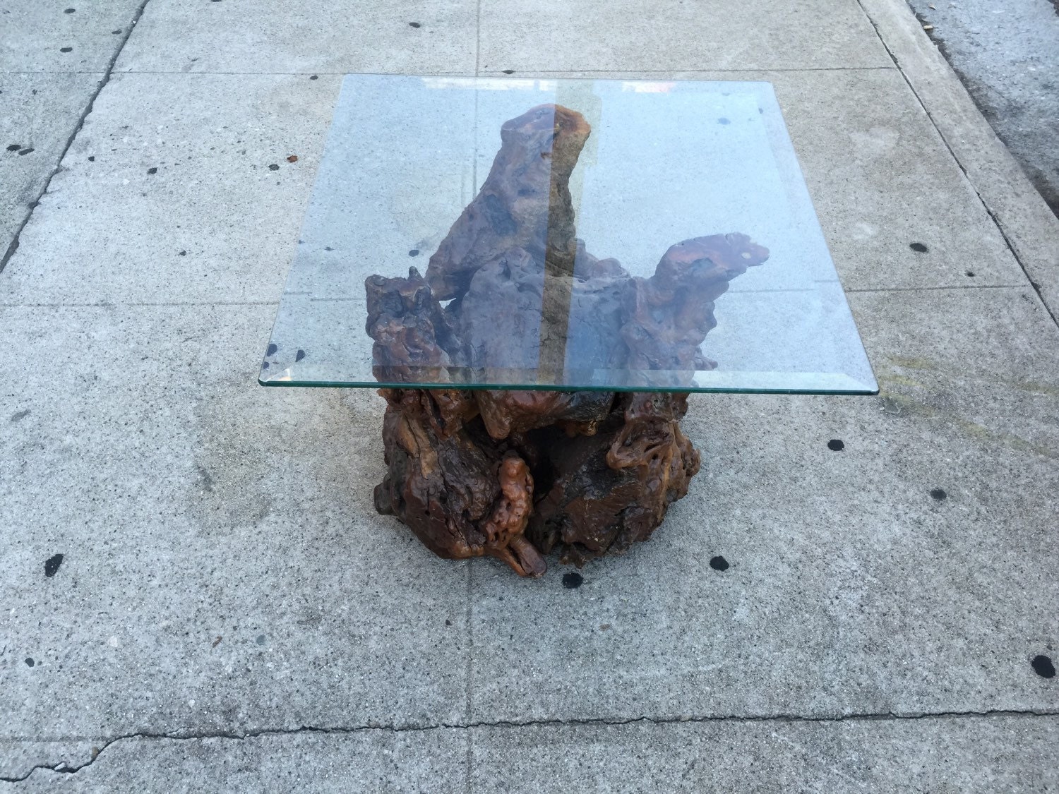 Burl Wood And Glass End Table Haute Juice