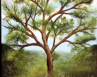 Tall Trees on Canvas Lake and Park in distance Large Canvas